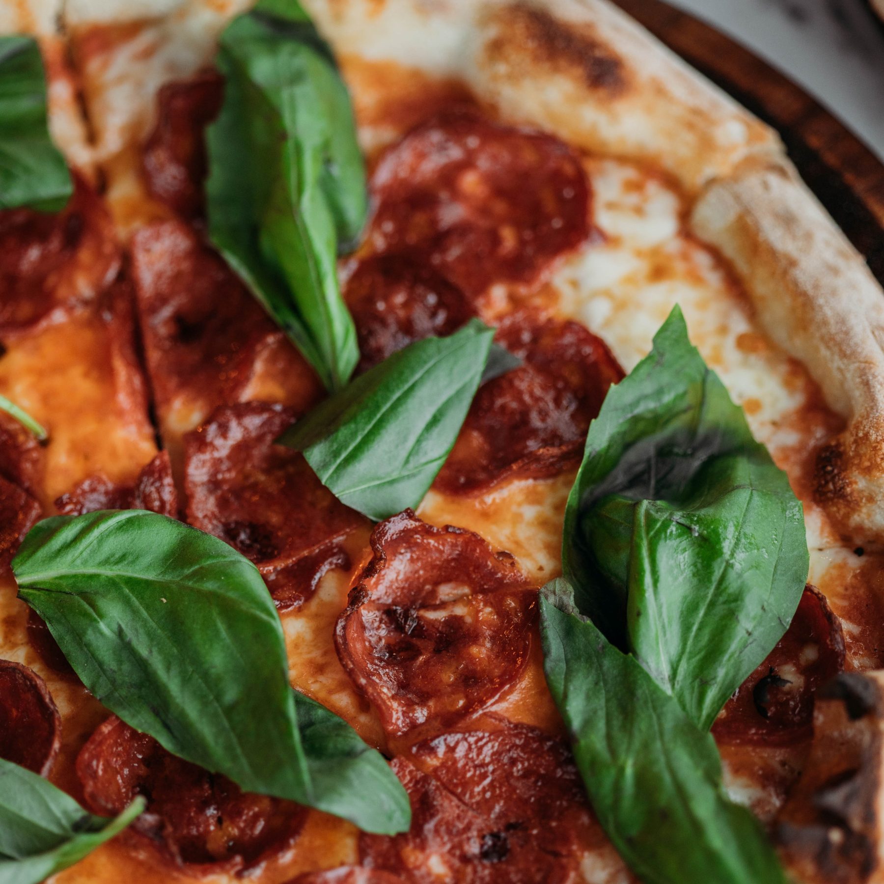 Event Calendar - Antsy Nancy